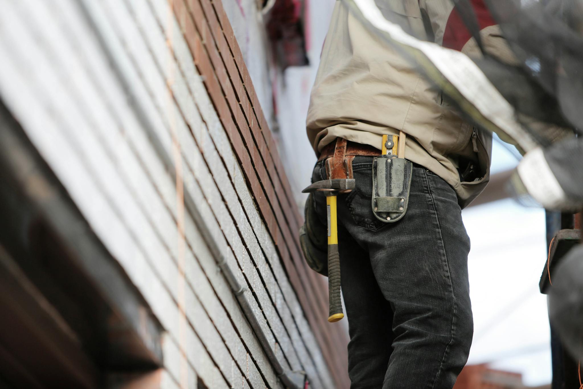 Master These 11+ Basic Carpentry Skills and Build Like a Pro - Tekton ...